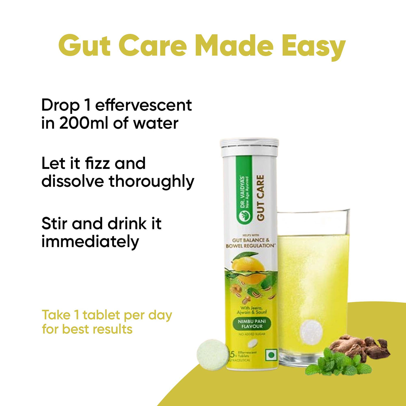 Dr. Vaidya's Digestive Support Effervescent Gut Relief Online – Dr Vaidya's
